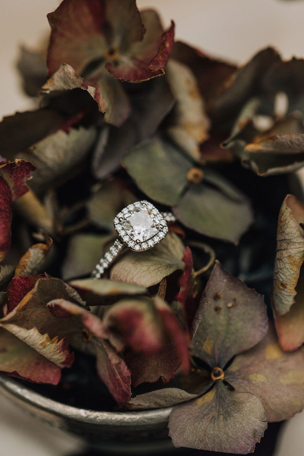 rachel-takes=pictures-LMD-0860 – Blog Le Colonel